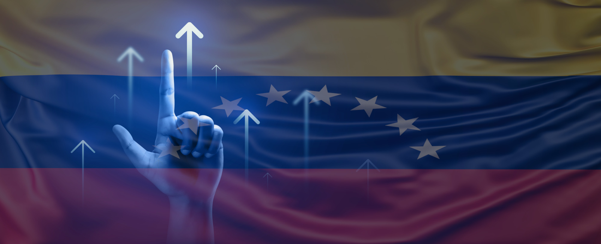 Programas – Venezuela Competitiva